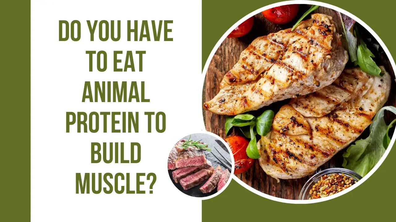Protein Intake After Bariatric Surgery: Building Muscle with Plant ...
